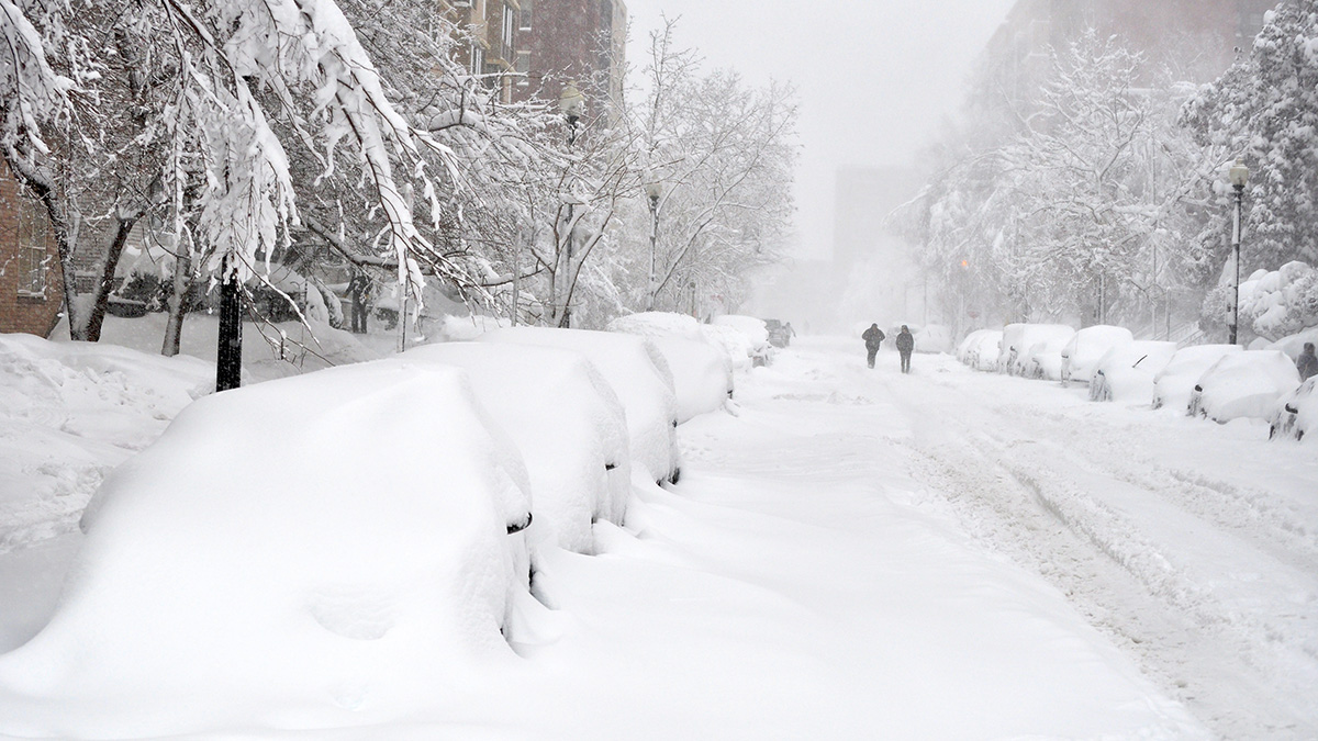 Lessons Learned: How the 2014 Polar Vortex Helped Make the New York ...